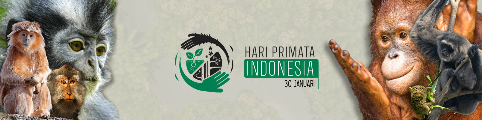 Hari Primata Indonesia 2022