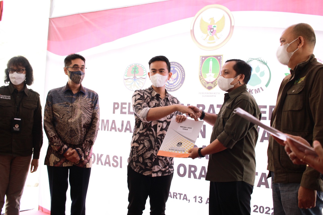 3 Owa Hasil Breeding Lembaga Konservasi Ditranslokasi ke Kalteng ...